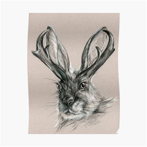 Mythical Jackalope Jackrabbit With Antlers Horned Rabbit Jackrabbit