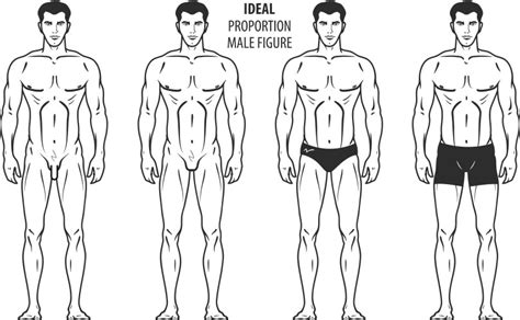 Body Outline Male Vector Images Over 21 000