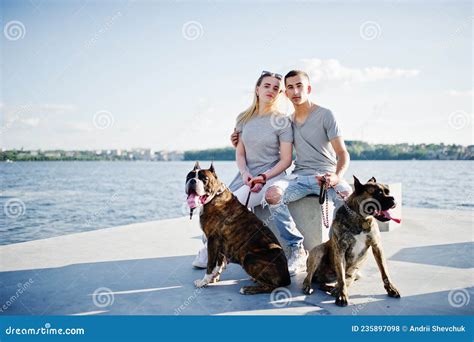 Casal Apaixonado Por Dois Cachorros Foto De Stock Imagem De Homens