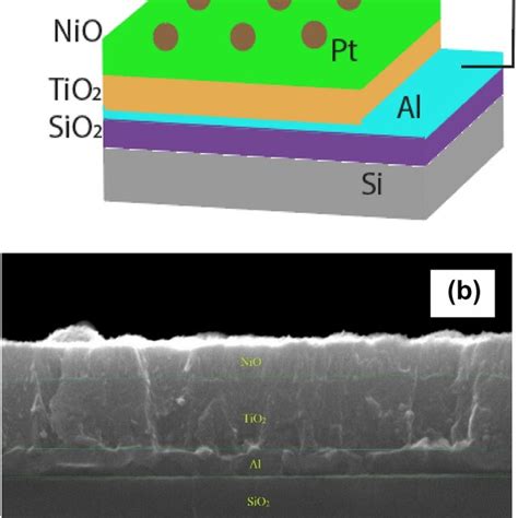 A Schematic Structure Of The Fabricated P Nio N Tio2 Heterojunction Download Scientific Diagram