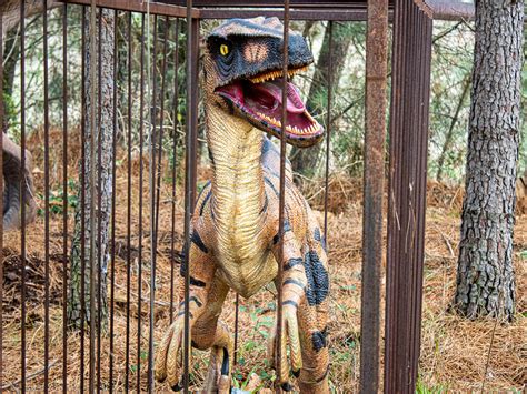 Vélociraptor Le Monde De Dinopedia