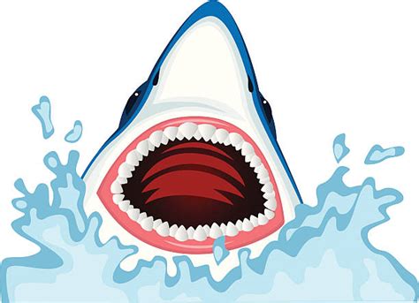 Free 294 Open Shark Mouth Svg Svg Png Eps Dxf File