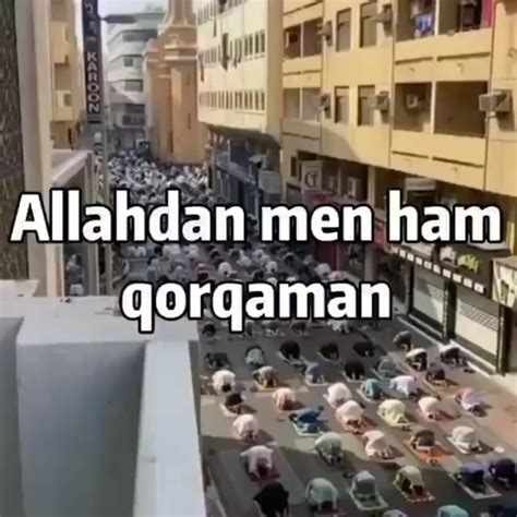 📿 𝙸𝚗𝚜𝚑𝚊𝚊𝚕𝚕𝚊𝚑 📿 🍁 5 𝚔 🍁 Hsha 98s • Instagram Photos And Videos