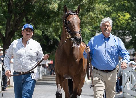 Echo Zulu Returns To The Spa In Honorable Miss