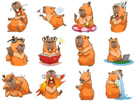 Стикеры капибара 61 фото скачать бесплатно