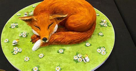 Its My Cake Day So Heres Some Foxy Cake Related Stuffs 3 Album