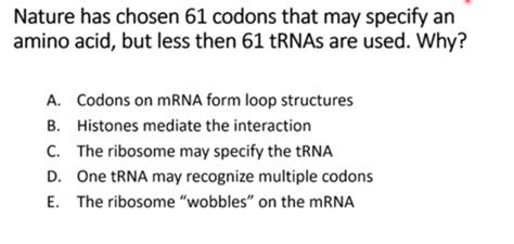Ftm Lecture 15 Translation And Post Translational Modifications Flashcards Quizlet