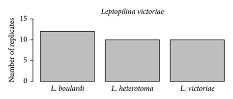 Number Of Replicates Conducted Until Courtship Including Antennal