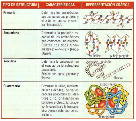 Proteinas