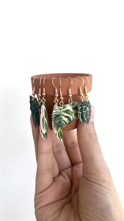 7 Variegated Plants Ideas Plant Leaf Identification Plants Variegated Plants