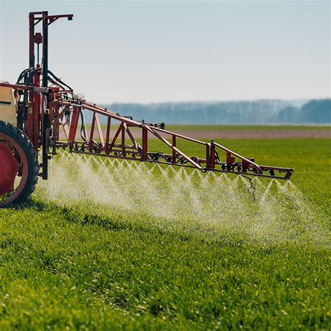 What Is The Difference Between Pesticides Insecticides And Herbicides