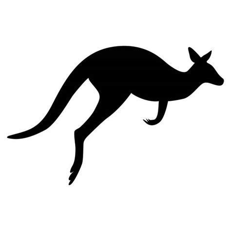 Young Marsupial Illustrations Royalty Free Vector Graphics And Clip Art