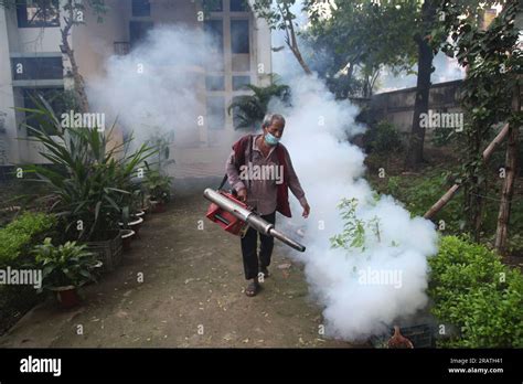 Dhaka Bangladesh 5jun2023 Mosquitoes Are Being Used By Various