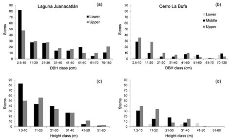 Size Class Distribution Dbh Of The Fir Trees At Different Elevation