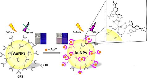 Rhodamine‐gold Hybrid Nanosensor For Rapid And Selective Detection Of Hg2 Ions In Environmental
