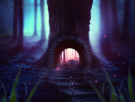 森林树洞平面海报easonaslan原创作品 站酷zcool