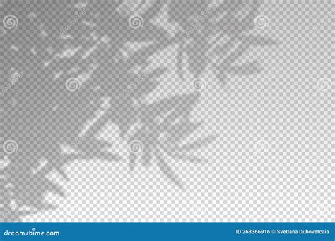 Tree Leaf Shadow Plant Leaves Overlay Shade Soft Reflect Light From