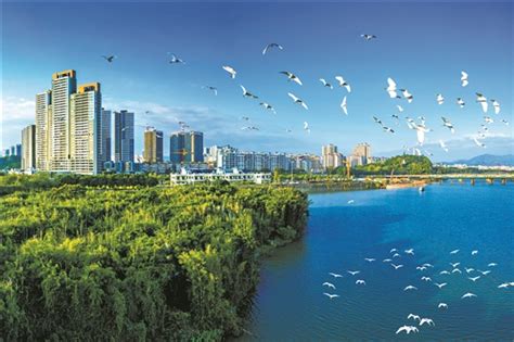 羊城晚报 广东新增15个林长绿美园