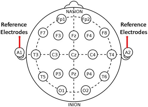 Electrode Locations Of International 10 20 System For Download