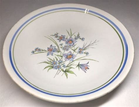 Lot1 De 5 Assiettes Creuses Moulin Des Loups Orchies Grand Feu D 215 Cm