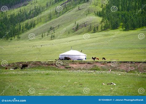 The Ger Camp In Gorkhi Terelj National Park At Ulaanbaatar Mongolia