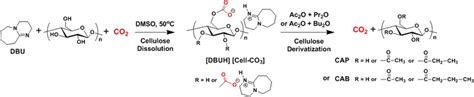 Synthesis Of Cellulose Acetate Propionate And Cellulose Acetate Butyrate In A Co2dbudmso