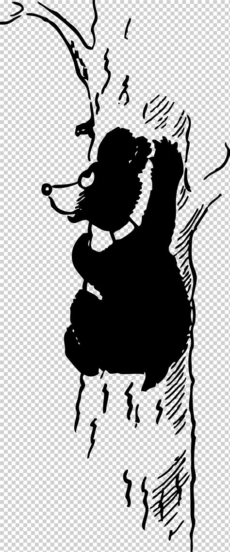 Oso Negro Americano Oso Polar Oso Panda Gigante Oso Escalada Pasos