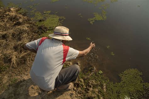 Gran Chaco Indigenous Peoples And Biodiversity Left Exposed By New Road