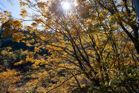 奈良井宿鳥居峠薮原宿 67 by やちぼうず ID12057020 写真共有サイト PHOTOHITO