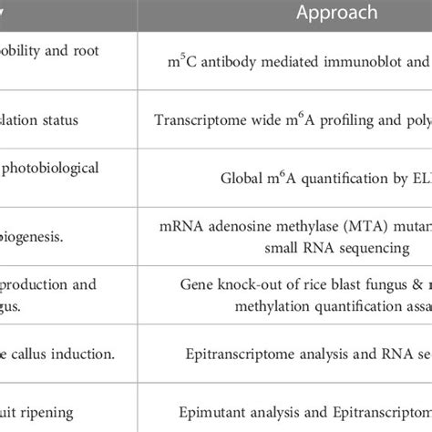 Recent Studies On Rna Methylation In Plants Download Scientific Diagram