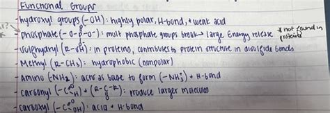 Bio 172 Unit 1 Flashcards Quizlet