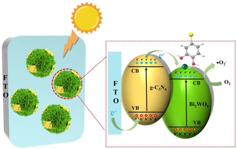 Bi2wo6 G C3n4 Heterostructure For Cathodic Photoelectrochemical