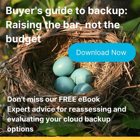 Cloud Essentials On Linkedin Cloudbackup Microsoft365