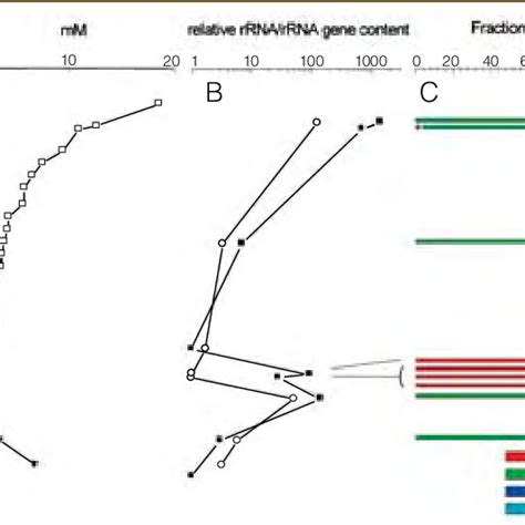 Population Structure Of Uncultured Deep Subsurface Archaea And Rrna Download Scientific Diagram
