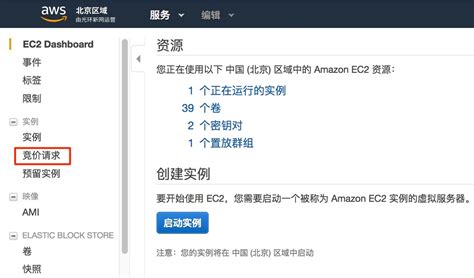 成本优化利器——amazon Ec2 Spot实例详细介绍 亚马逊aws官方博客