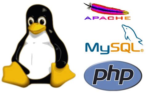 Servidor Web Apache Php Mysql E Phpmyadmin