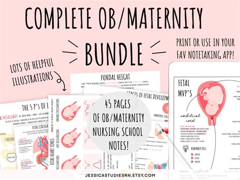 Obmaternity Bundle Digital Nursing School Study Guidesnotes Obstetricsmaternity Nursing