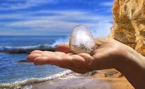 Nimphelos Dart API Docs