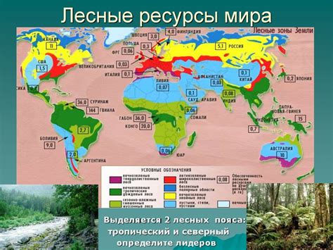 Природные ресурсы мира презентация онлайн