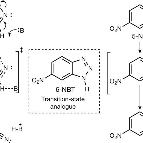 Nmr Guided Evolution Of Myoglobin A Backbone Amide Csp Of Mbh64v