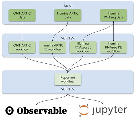 Global Framework For Sars Cov 2 Data Analysis Application To Intrahost