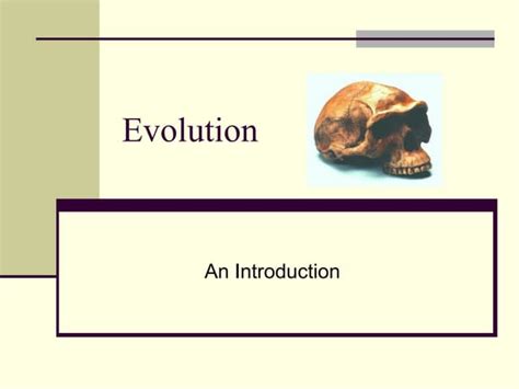 Biology Ppt Evolution Class Xii Pptx