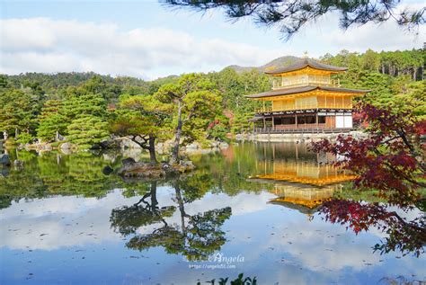 金閣寺秋天 美哉紅葉與金色閃閃的鹿苑寺美景很推介 遇見天使 Angela