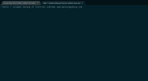 Tutorial Sublime Text Editor Part 5 Mengatur Tampilan Malas Ngoding