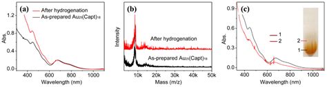 Molecules Free Full Text Dynamic Metal Nanoclusters A Review On
