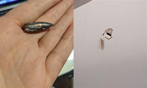 თქვენი გასროლილი ტყვია ვის მოხვდება არავინ იცის სახლში დაბრუნებულ ქალს სავარძელში ნატყვიარი