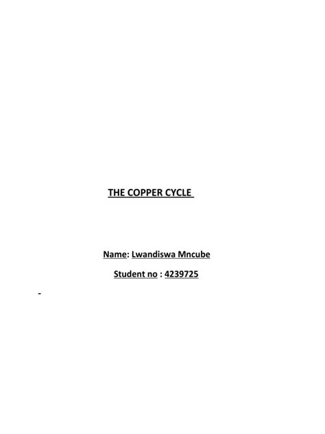The Copper Cycle For Mzila Ifp Pdf Copper Aluminium