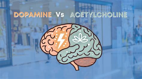 Dopamine Vs Acetylcholine The Neuroscience Keys To Boosting Engagement And Loyalty In Introvert