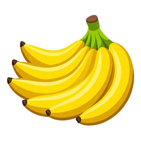 Premium Vector Ripe Banana Bunch Vector Illustration