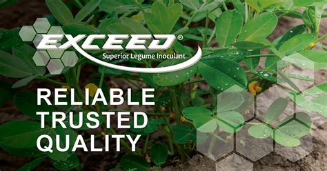 Exceed® Sar Liquid Inoculant For Peanuts More Than Just An Inoculant